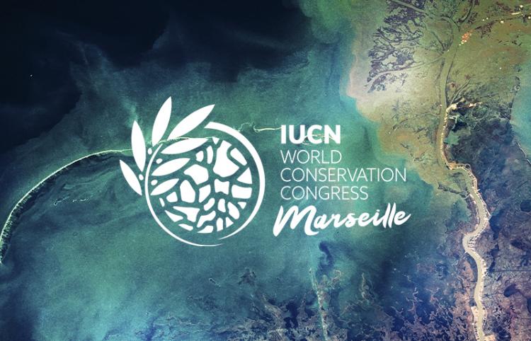 [1/4] The WWC is involved in the World Conservation Congress | World ...